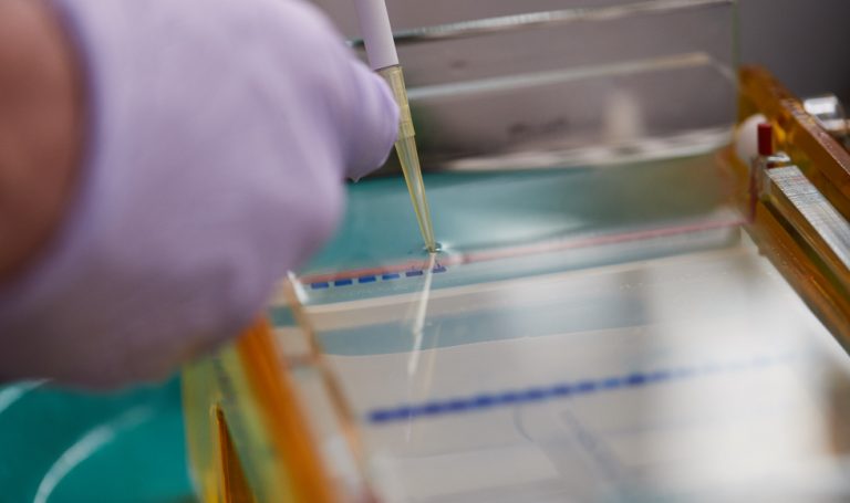 Seventeen McMaster researchers included in 2018 Highly Cited ... Seventeen McMaster researchers included in 2018 Highly Cited ...